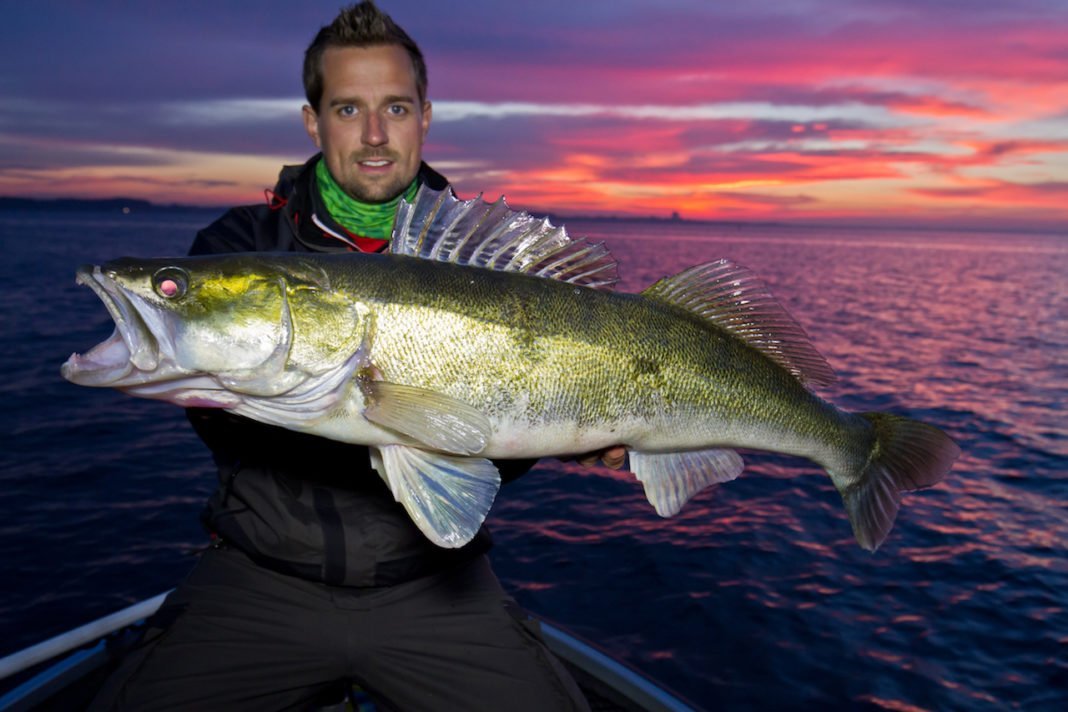 ᐅ Richtig Zanderangeln | Die wichtigsten Tipps und Tricks