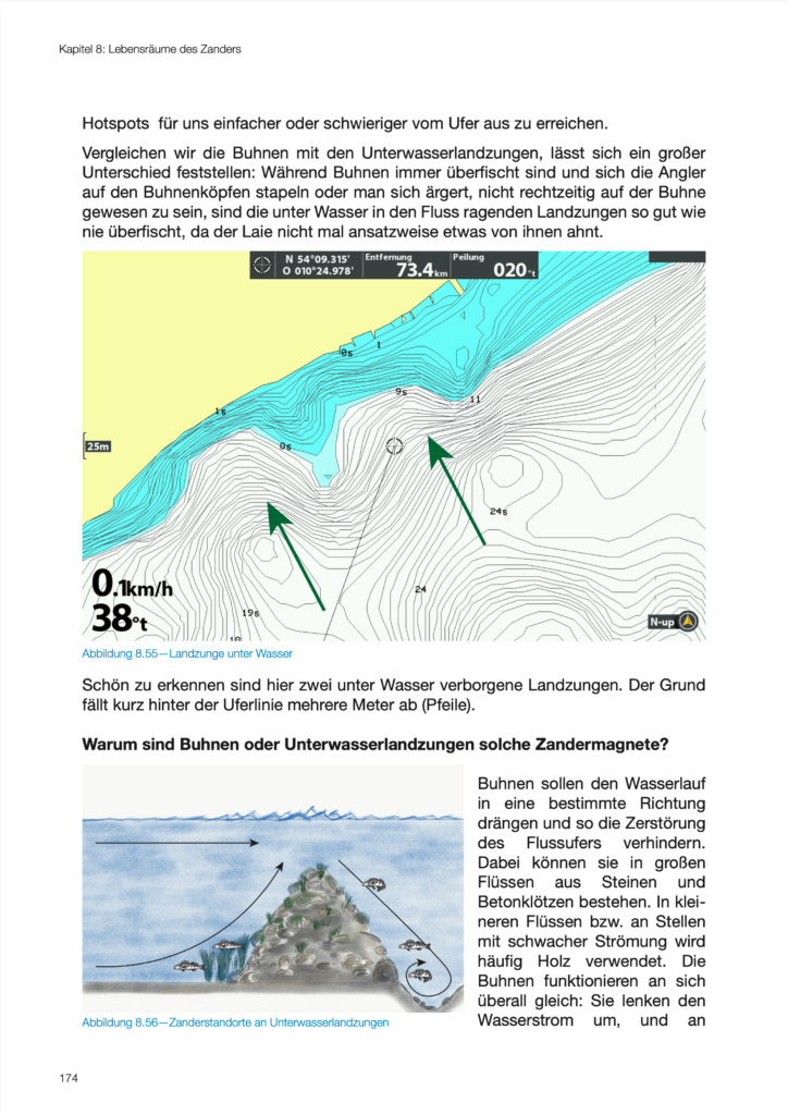 Zanderbuch: Angel-Tipps für große Zander! Modernes Fische Finden